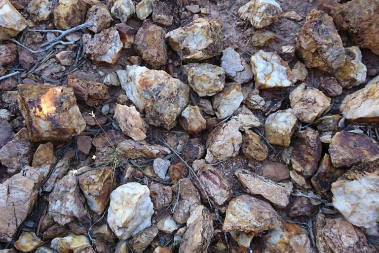 Native Minerals aiming to hit the high notes at Music Well – Native ...